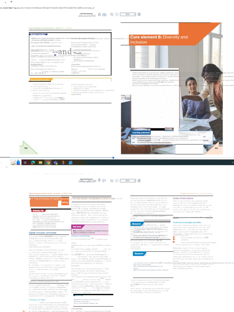 Core Element 6 Diversity and Inclusion (R6) 1 | PDF | Computing