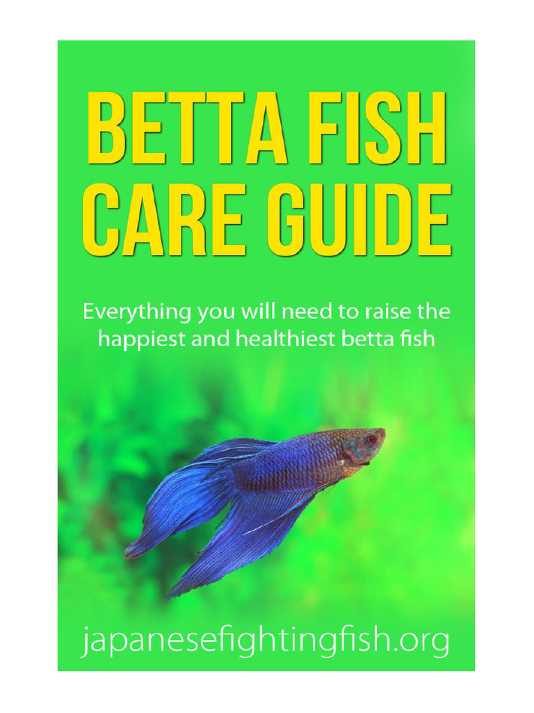 Betta Fish Care Guide | PDF | Aquarium | Fish