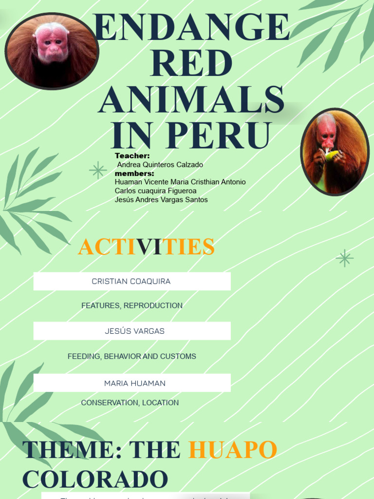 Ingles Entregable 3 | PDF | Amazon Rainforest | Forests