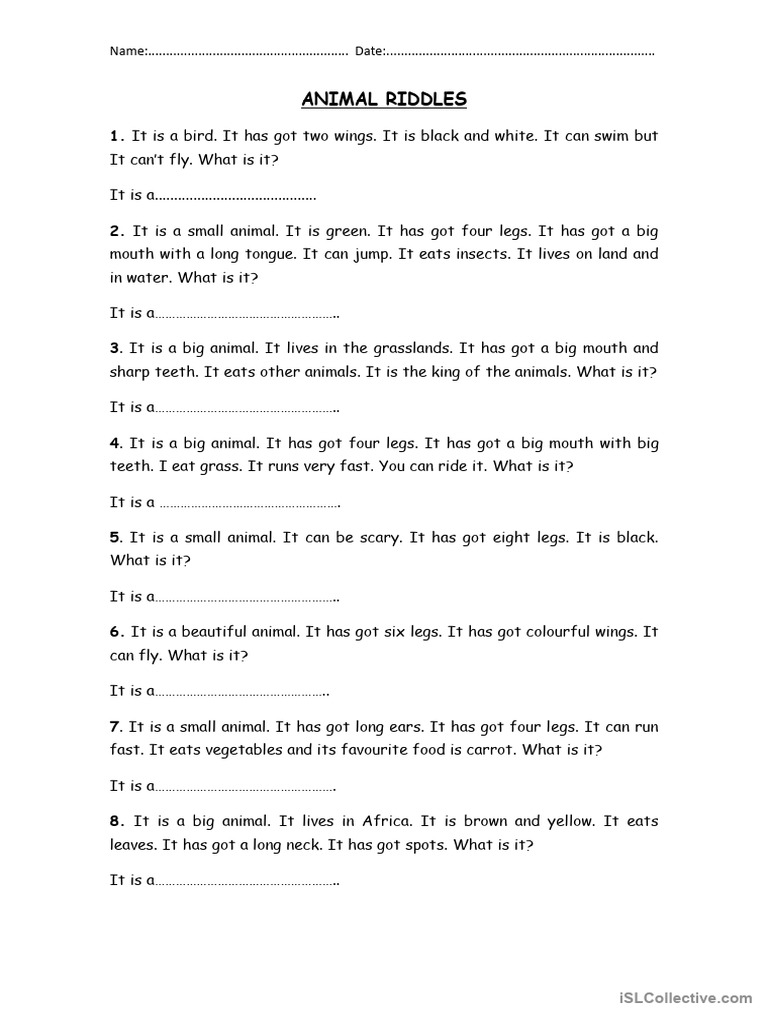 Reading Animal Riddle. | PDF