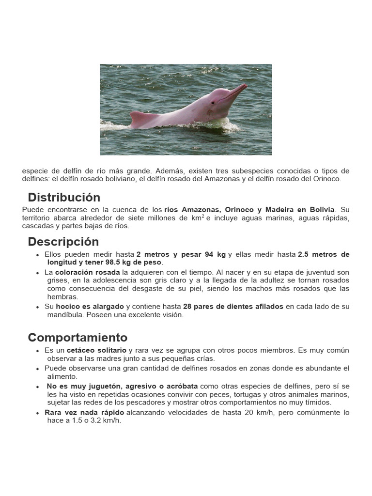 Delfín Rosado: Hábitat y Conservación | PDF | Zoología