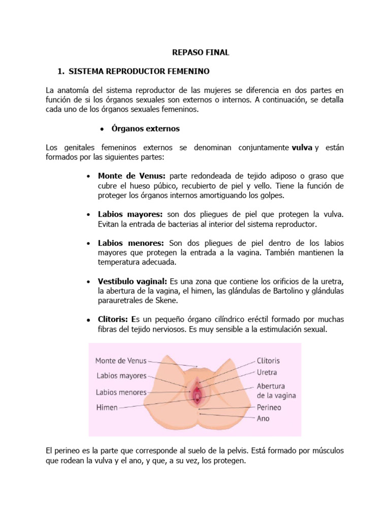 Repaso Final | PDF | Hormona luteinizante | Ciclo menstrual