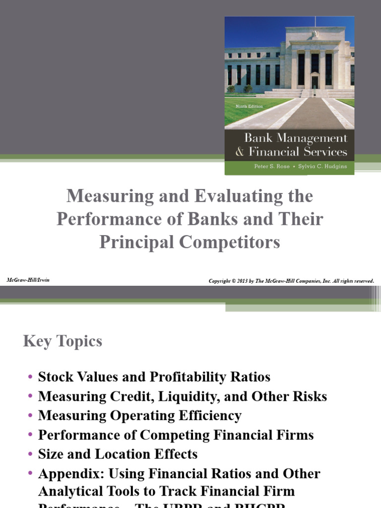 Measuring and Evaluating The Performance of Banks and Their Principal ...