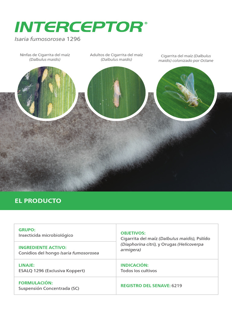 Interceptor Leaflet Paraguay PDF | PDF | Insectos | Insecticida