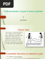 Clinical Pearls On Tendinopathy From DR Jill Cook - Physio Network ...