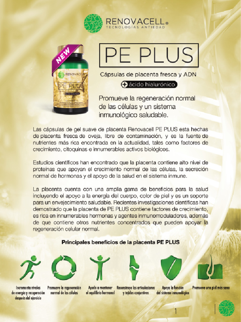 Pe Plus | PDF