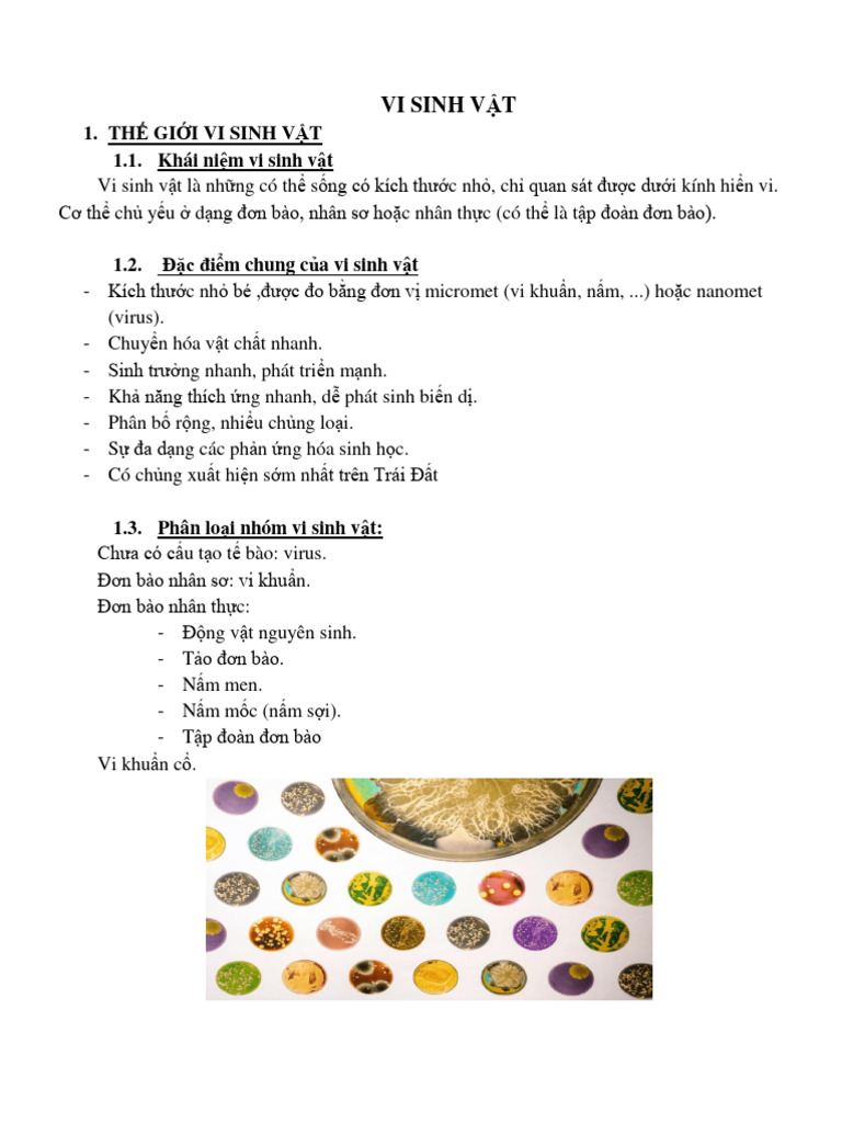 Chuyen Hoa Sinh Truong VSV Ly Thuyet | PDF