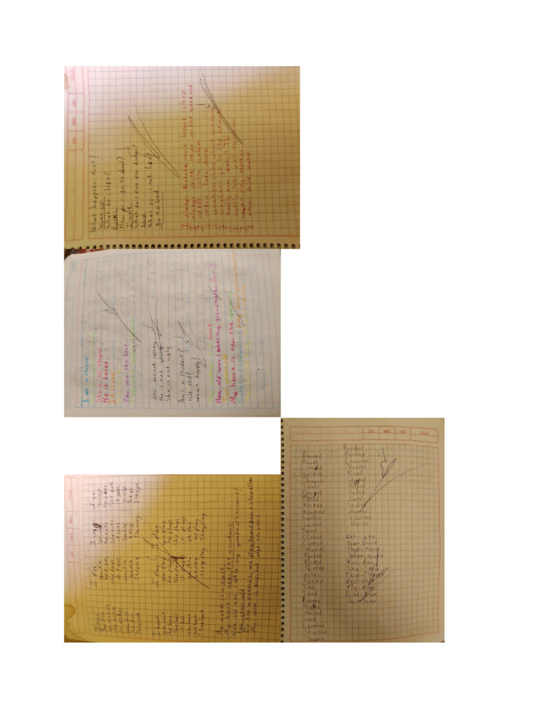 Roger Axel Ramirez Fernandez | PDF