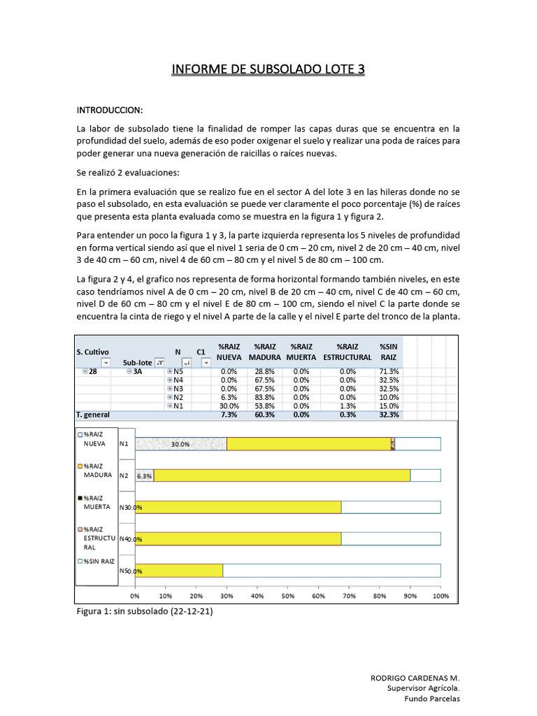 Informe Del Subsolado Lote 3 - Parcelas (Con Observ.) | PDF | Plantas ...