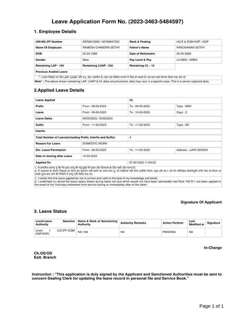 Leave Report | Download Free PDF | Computing | Software