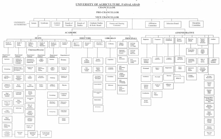 Organization Chart | PDF