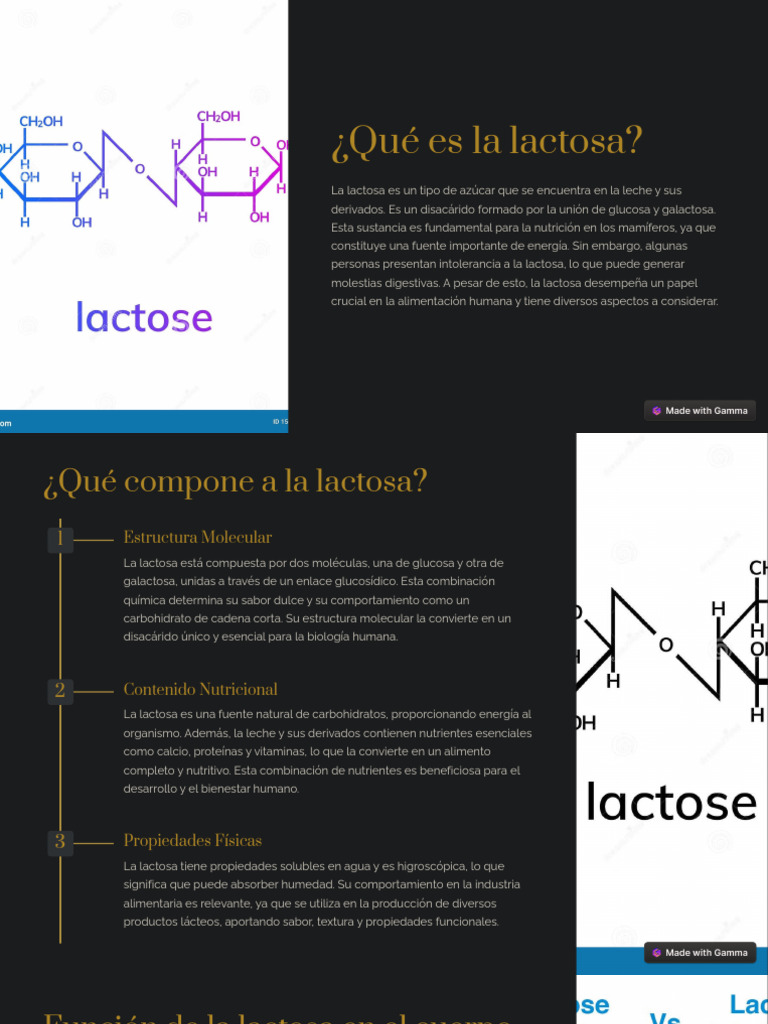 ¿Qué Es La Lactosa? | PDF | Productos lácteos | Leche