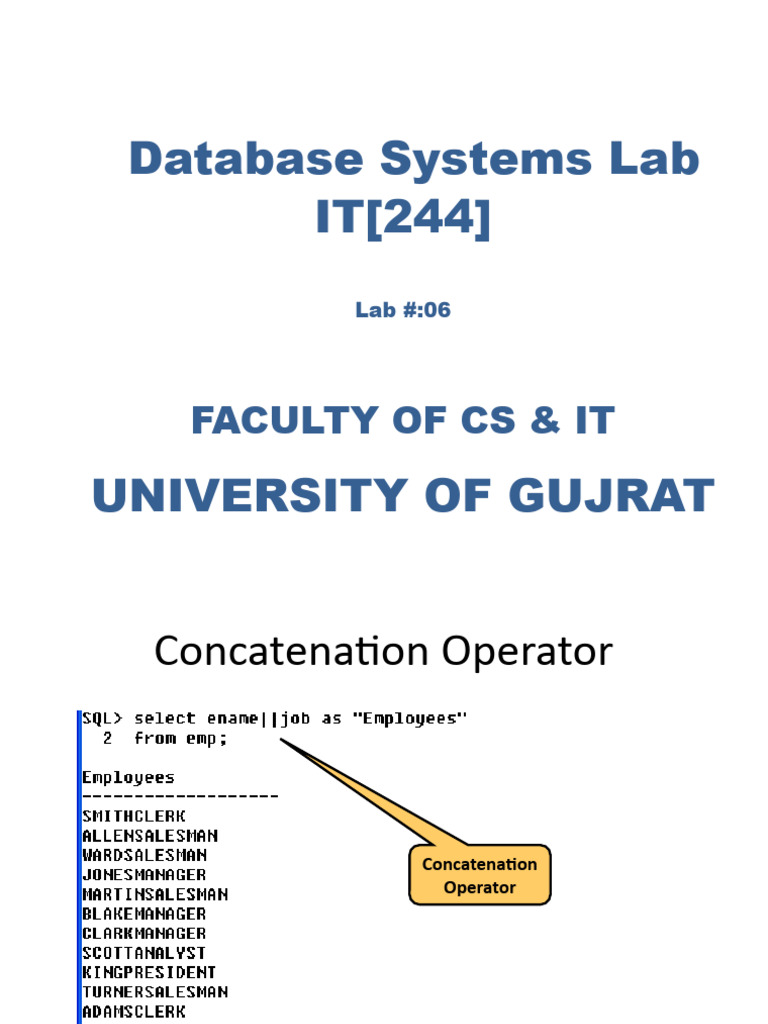 Lab 06 Pdf Computing Data Management