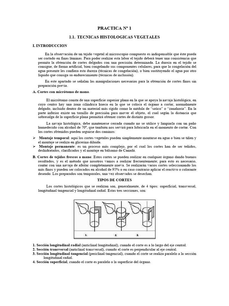 Guía Practica 1 Técnicas Hist. - Celula | PDF | Biología Celular) | Citoplasma