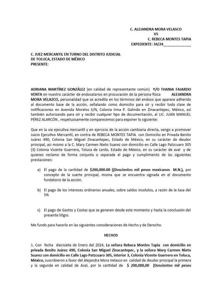 DEMANDA MERCANTIL | Descargar gratis PDF | Justicia | Crimen y violencia