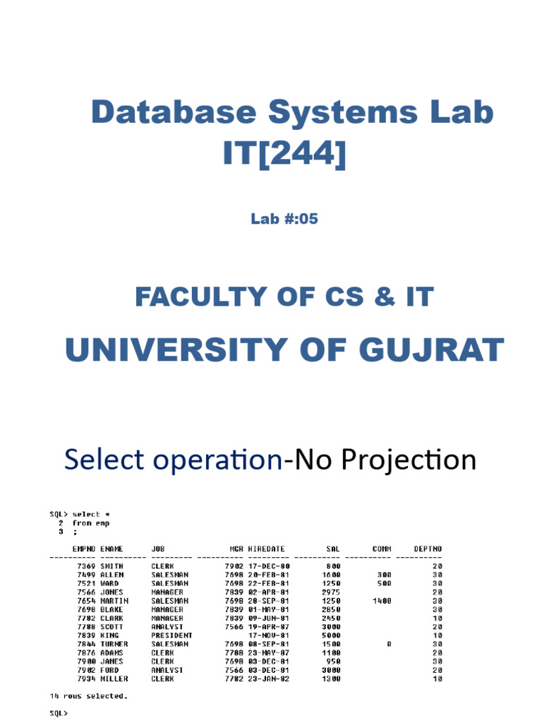 Database Lab Guide for IT Students | PDF | Computers