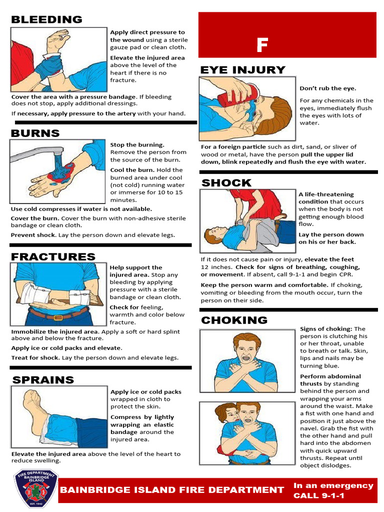 Basic-First-Aid | PDF | Burn | Clinical Medicine