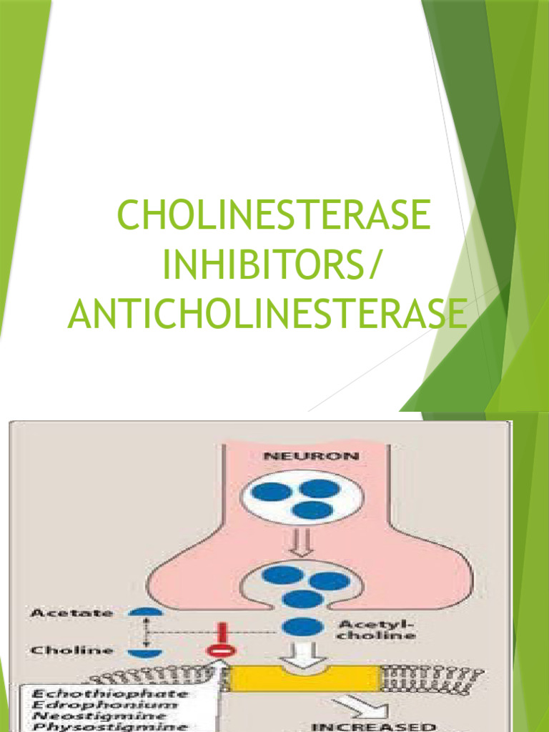 Anti Cholinesterase | PDF | Acetylcholine | Enzyme Inhibitor