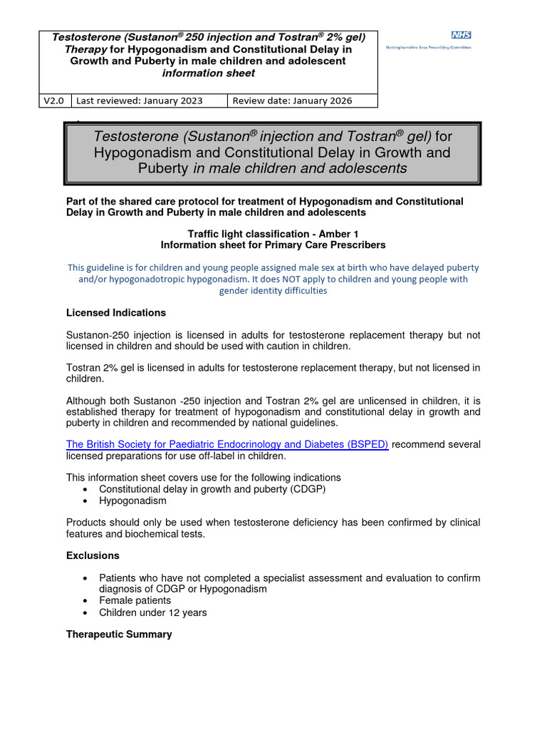Testosterone Information Sheet | PDF | Puberty | Testosterone