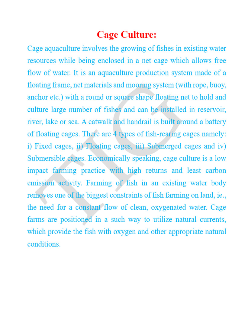 Cage Culture | PDF | Water | Aquaculture