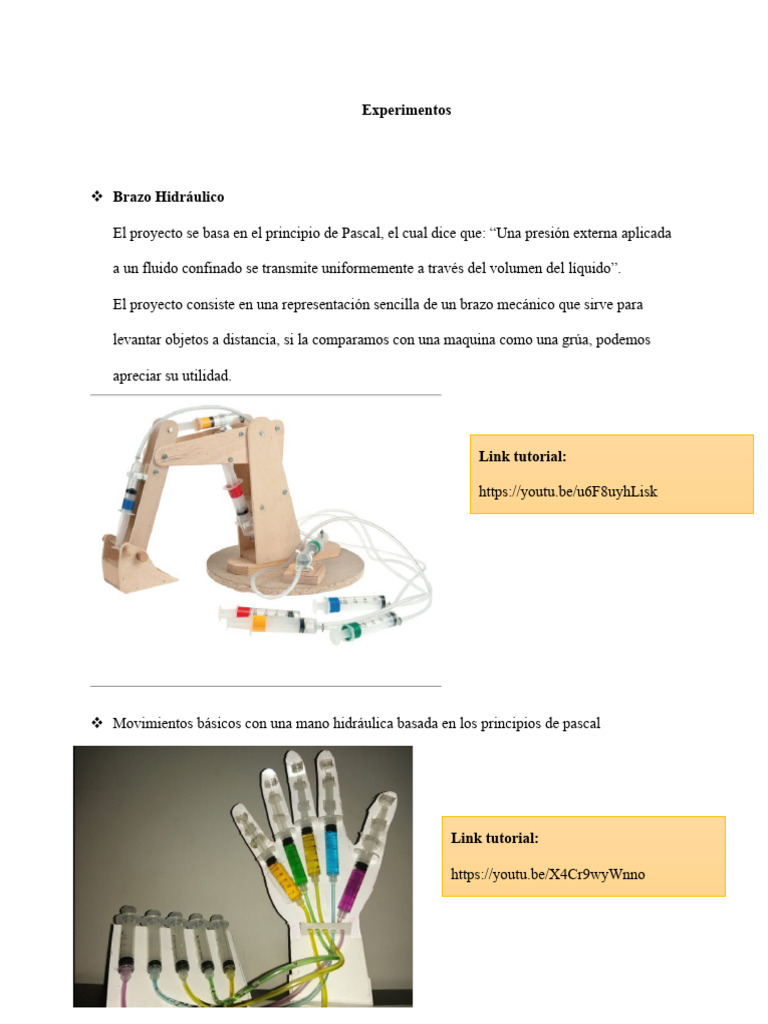 Experimentos Principios de Pascal | PDF