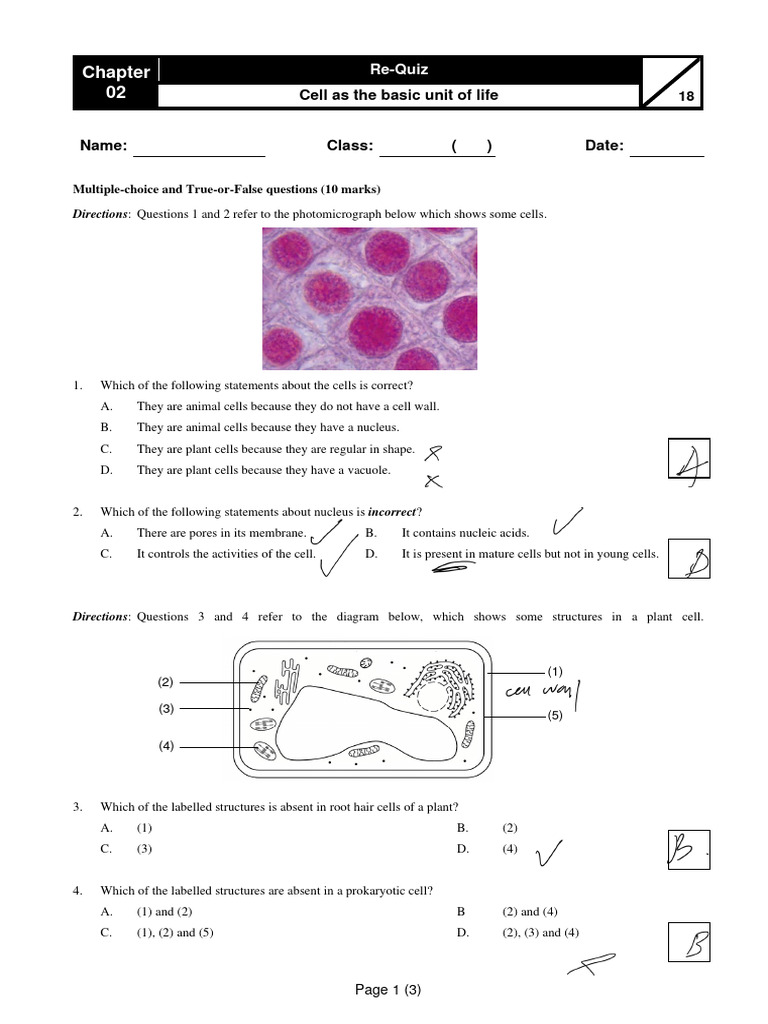 Chapter Quiz (Re-Quiz) 02 | PDF | Cell (Biology) | Organelle
