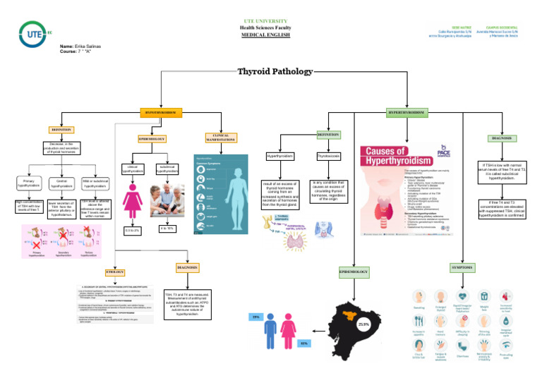 Thyroid Pathology | Download Free PDF | Hypothyroidism | Hyperthyroidism