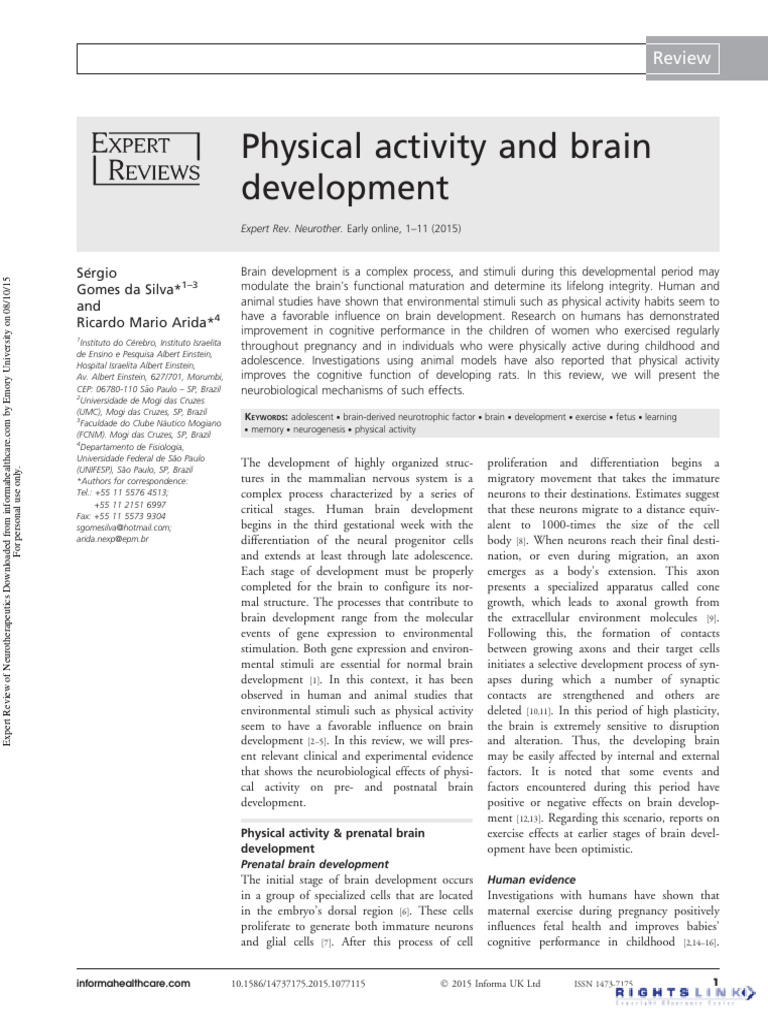 Impact of Physical Activity on Brain Development | PDF | Axon | Brain