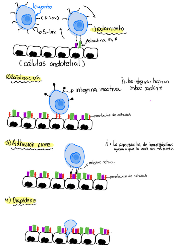 Nota 26 set. 2023 | PDF