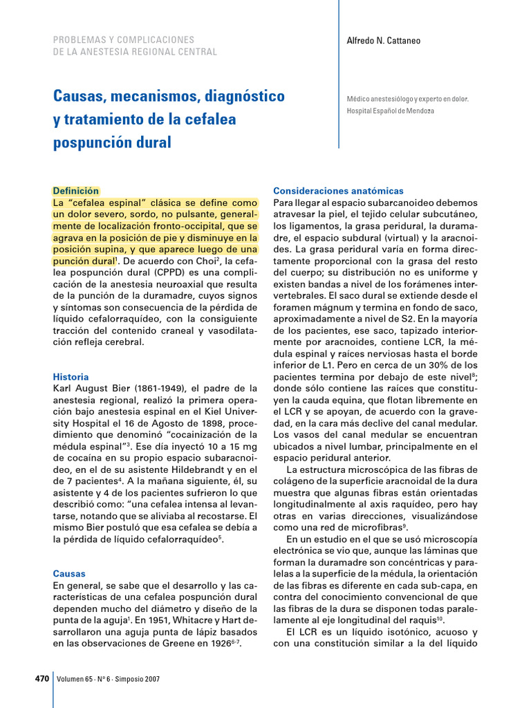 7 Causas, Mecanismos, Diagnóstico y Tratamiento de La Cefalea Pospuncion Dural | PDF | Fluido ...