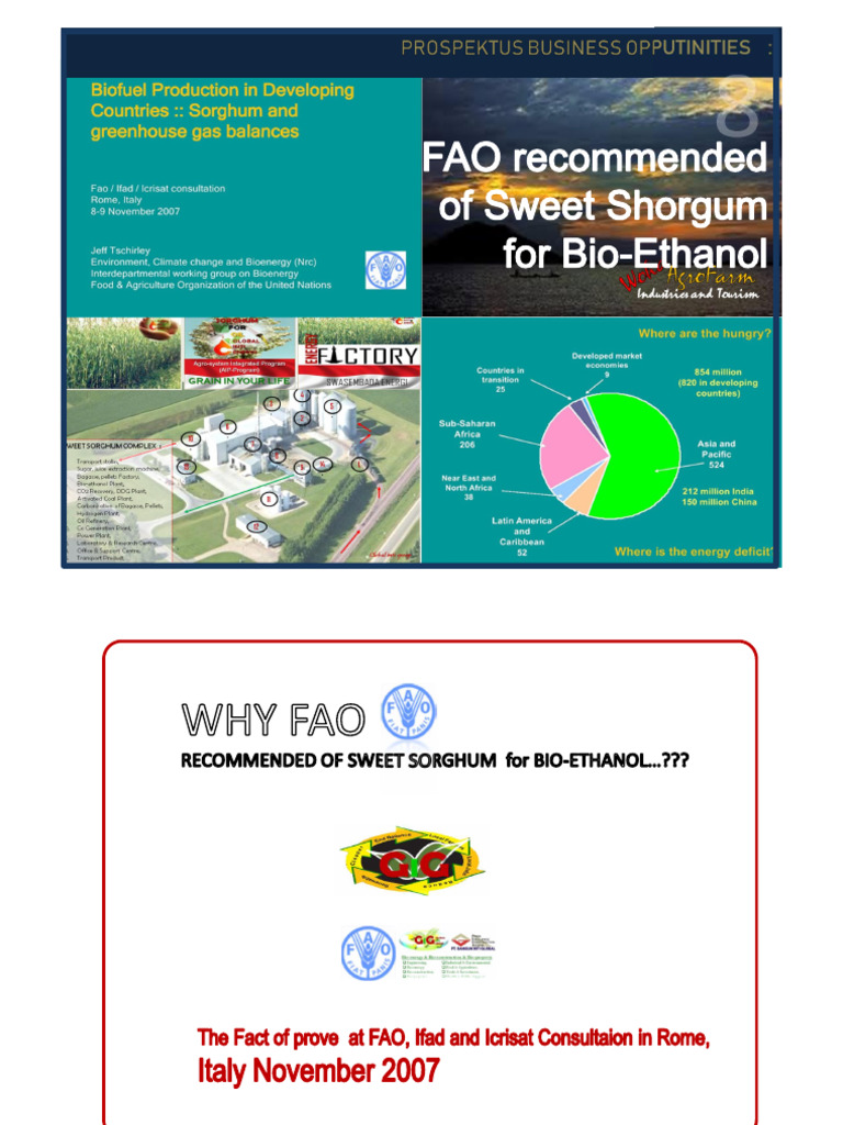 1 FAO Recom Bio Ethanol | PDF | Sugarcane | Maize