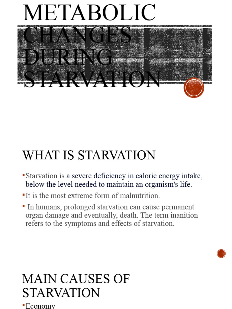 Metabolic Changes During Starvation | PDF