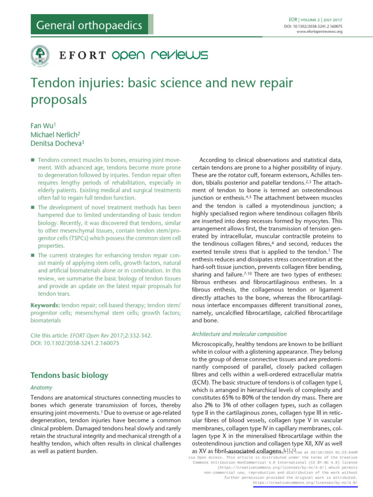 tendons injuries | Download Free PDF | Tendon | Extracellular Matrix