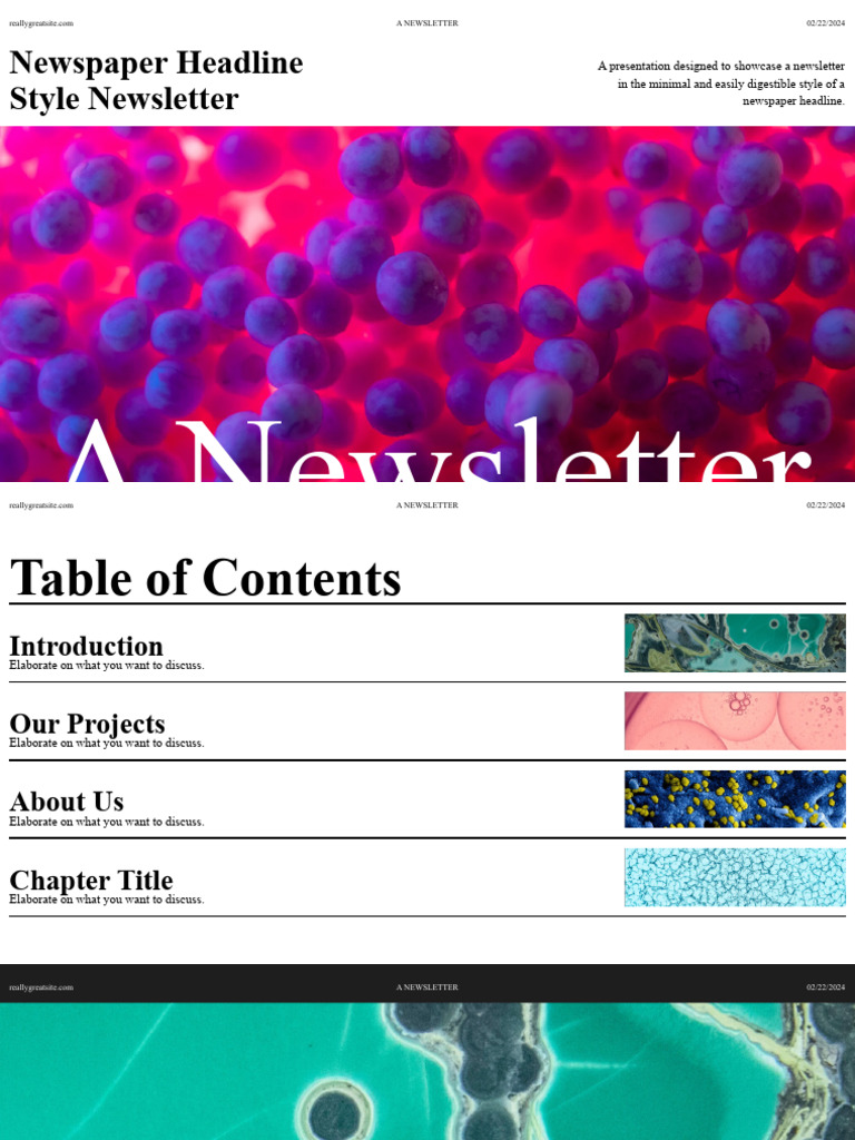 Corporate Minimal Newspaper Headline Style Newsletter | PDF ...