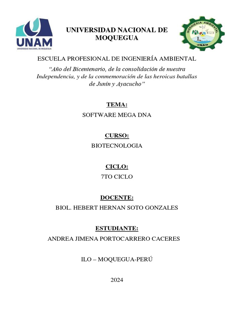 Informe Software Mega11 - Portocarrero Caceres Andrea | PDF ...