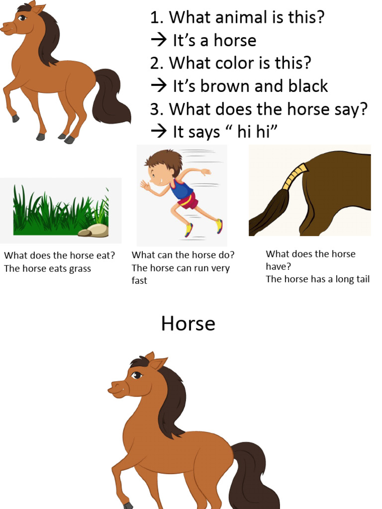 Lesson 4 - Horse | PDF