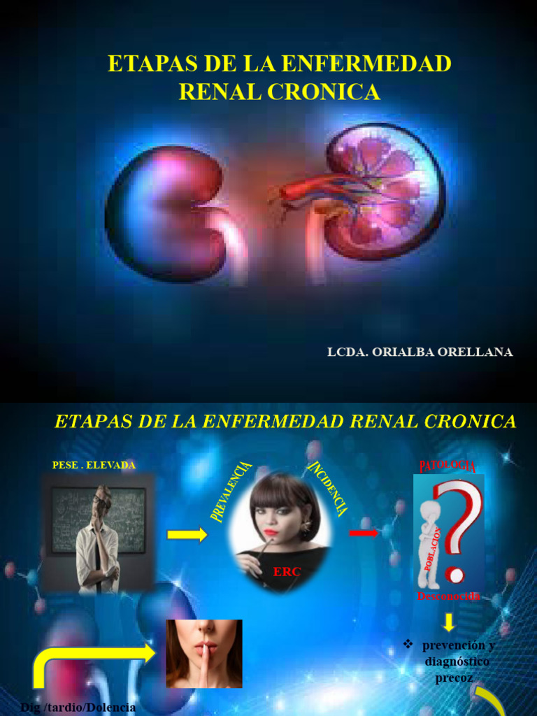 Etapas de la Enfermedad Renal Crónica | PDF | Riñón | Epidemiología