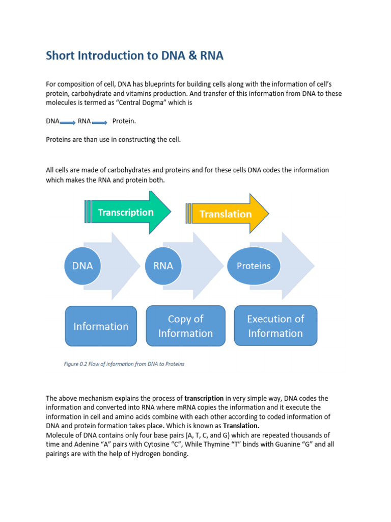 Sequence Alignment - Final | Download Free PDF | Dna | Sequence Alignment