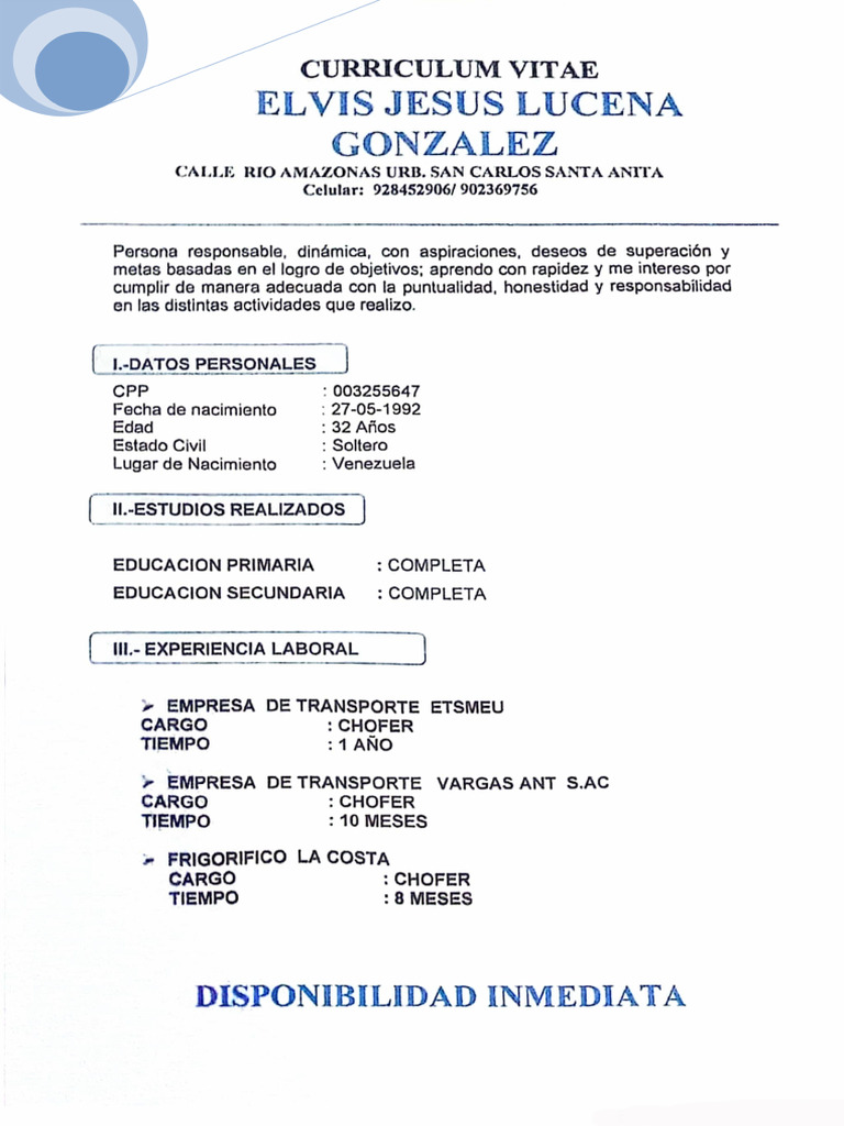 CV Elvis | PDF