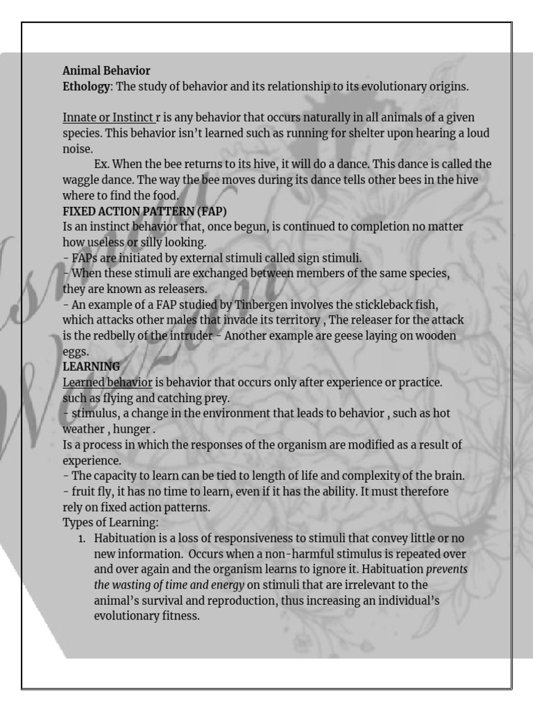 Animal Behavior | PDF | Ethology | Zoology