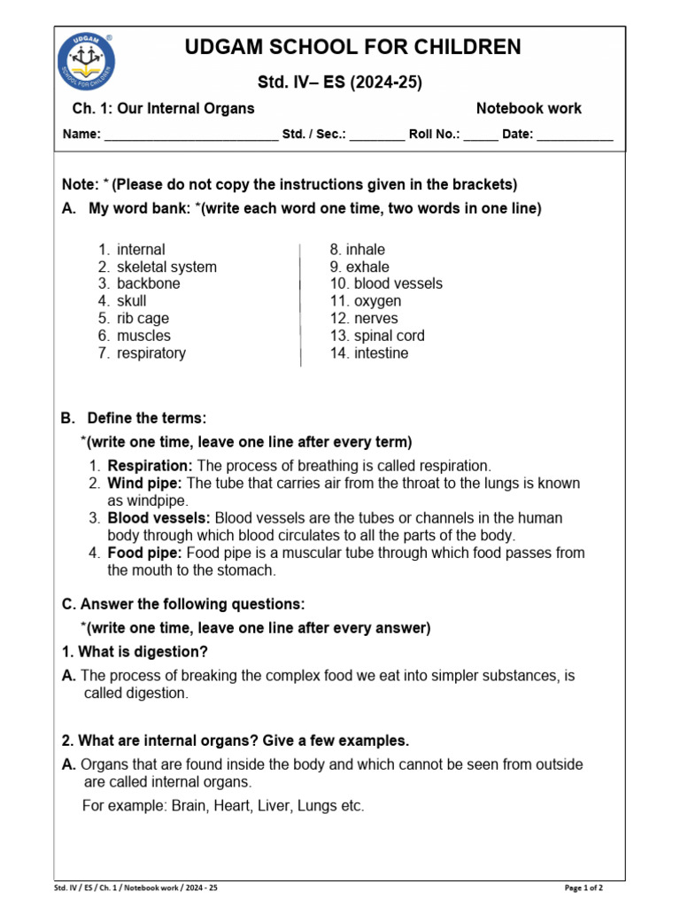 Internal Organs Notebook for Std. IV | PDF | Tooth | Respiratory System
