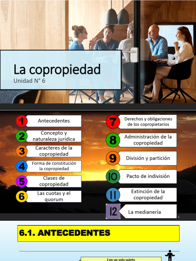 Conceptos y Normas de Copropiedad | PDF | Condominio | Propiedad