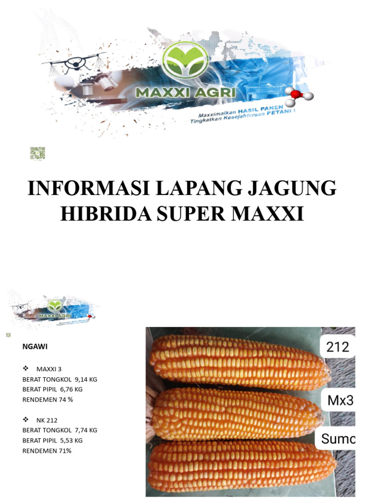Informasi Lapang Jagung Hibrida Super Maxxi | PDF