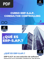 Manual Básico de Uso de SAP y Programación ABAP | PDF | Desarrollo de ...