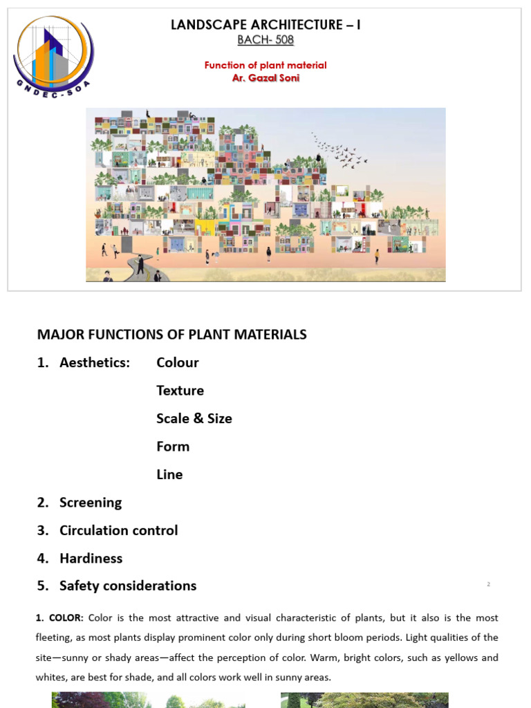 Function of Plant Material - 231118 - 183930 | PDF | Color | Leaf