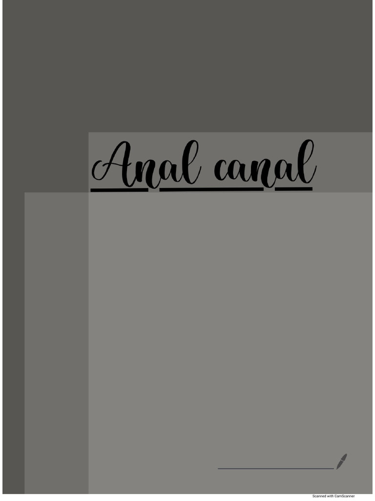 Anal Canal surgery | PDF
