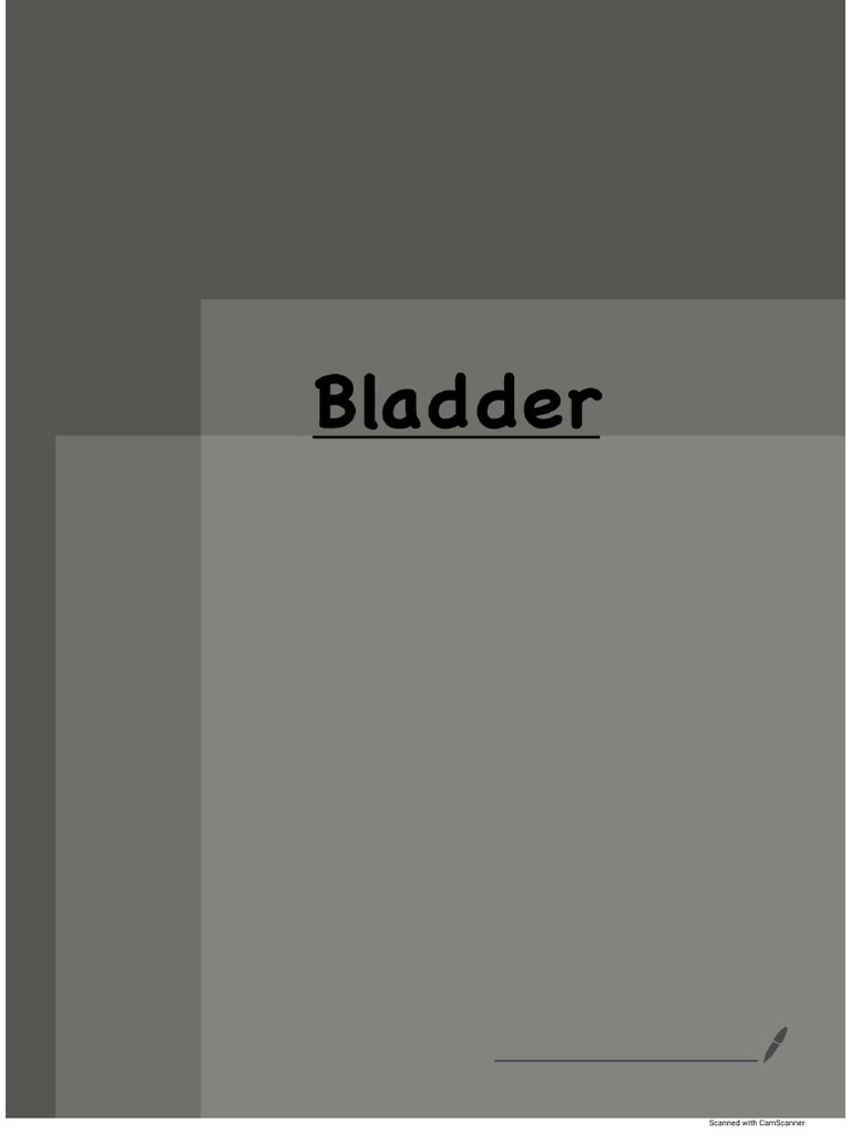 Bladder Surgery | PDF