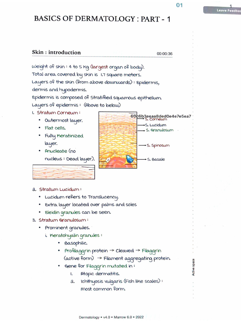 Derma E6 @marrow - Edition | PDF