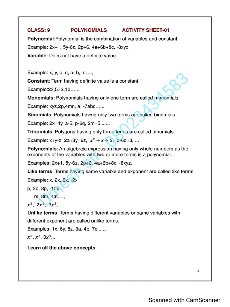 9th Maths Polynomials Worksheet 1 | PDF