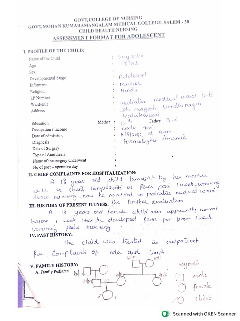 Adolescent Assessment Form | PDF